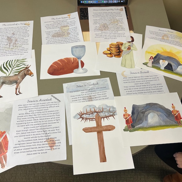 PUMPKIN Unit Study, Life Cycle, Anatomy, Nature Study, Science ...