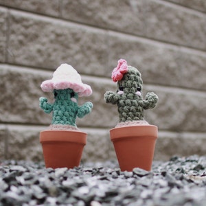 Potted Plant Pals Crochet Pattern - Etsy