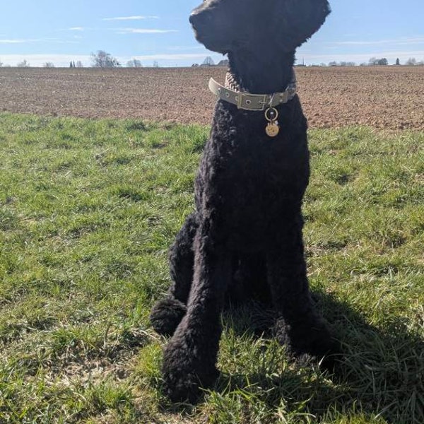 Kölnkette "Kölner Dom" presto gold Kölnschmuck - Etsy.de