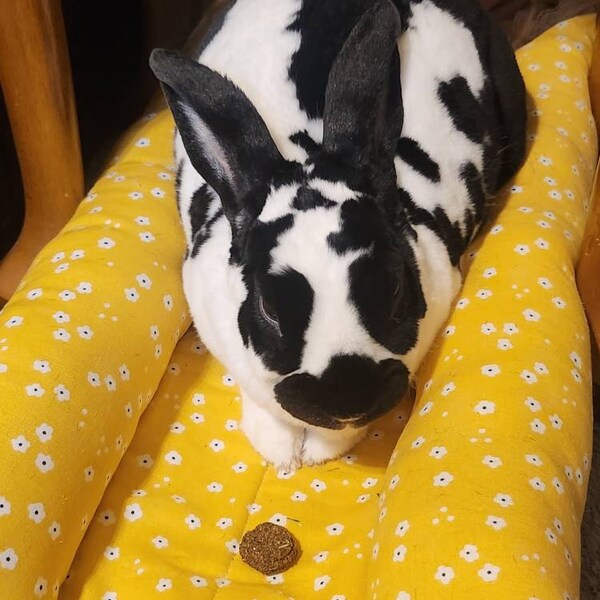 Bunny Snug Bed - Etsy