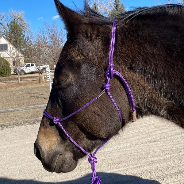 Neck Rope, Liberty Line, Liberty Rope, Bridless Riding - Etsy