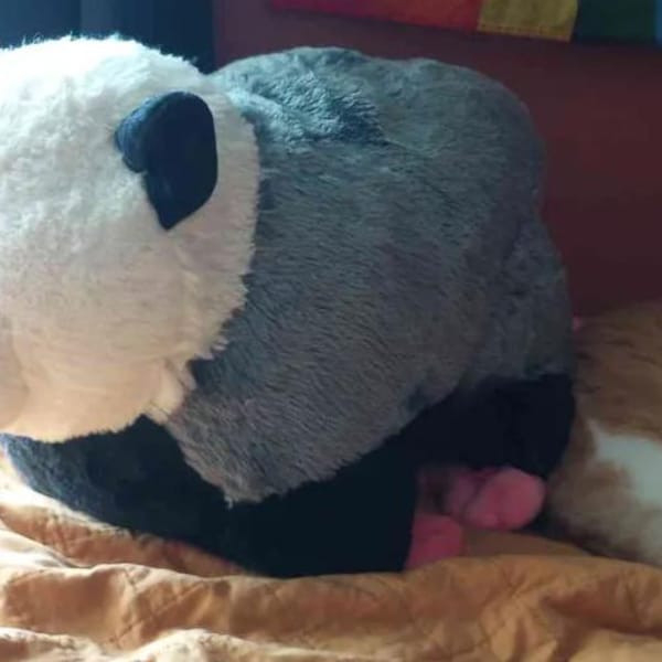 Backpack Raccoon Plushies Stuffed Animal Stuffies Toy Children Pet ...
