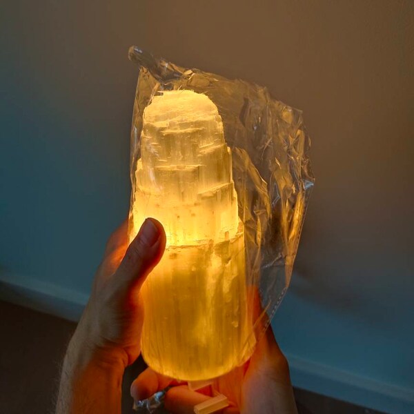 Himalayan Pink Salt Lamp Natural Hand Crafted Flower Lamp Crystal Rock ...