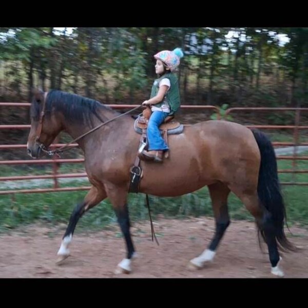 Horse RIDING COVER in Cranberry Red Lycra for Your Riding Helmet - Etsy