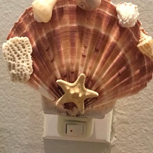 Bahamian Queen Conch Shell Light I Pink Conch Shell Night Light I SLIT ...