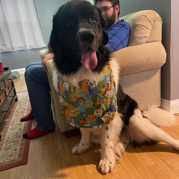 Christmas Santa Bib Giant Big Dog Drool Bib Dog Bib Newfoundland Newfie ...