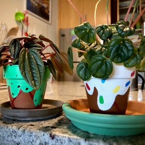 Ice Cream Flower Pot 3.5 Inch Mint Chocolate Chip Terra | Etsy