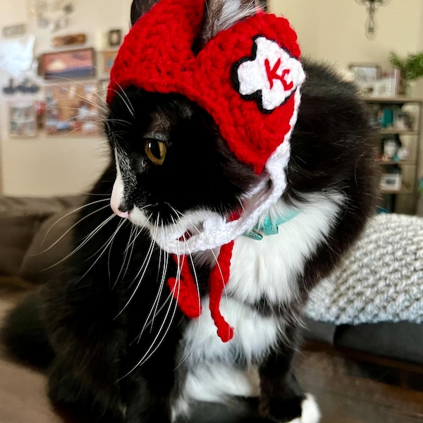 Alien Cat Costume, Toy Story Alien Cat Hat, Crochet UFO Cat Hat - Etsy