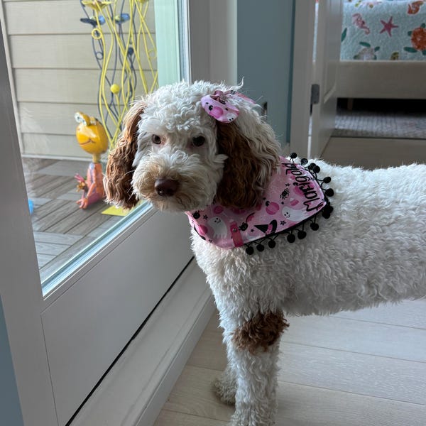 American Flag Dog Bandana, Memorial Day/july 4th, Tie & Snap Style ...