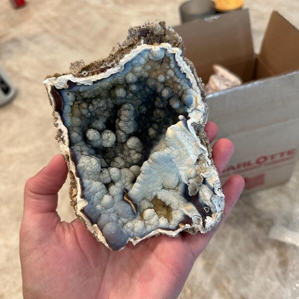 Agatized Coral Beautiful Blue/white Botryoidal 6-21-1-25 - Etsy