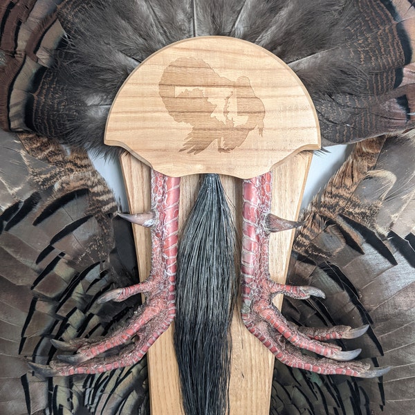 Turkey Tail/wing Mount. - Etsy
