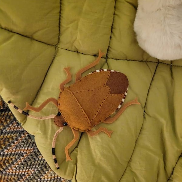 Felted Stinkbug Toy Realistic Beetle Felted Toy Young Naturalist Gift ...