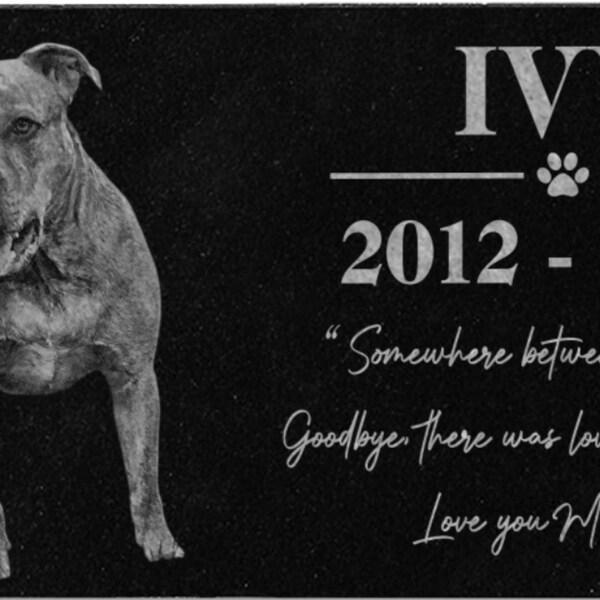 Custom Pet Memorial Stone for Dogs | Honor Your Terrier, Retriever, Pug ...