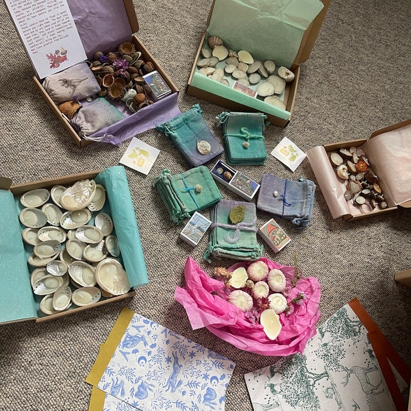 DIY Walnut Advent Calendar: 24 Matching Walnut Pairs (48 Shells ...