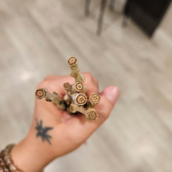 Custom Wood Burned Cottonwood Wand With Star Naturally Occurring - One ...