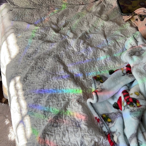 Plant Sun Catcher | House Plant Window Decal | Light Refracting Plant ...