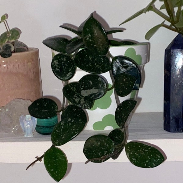 Hand Painted Baby Blue Bumble Bee Indoor Plant Pot, Terracotta Planter ...