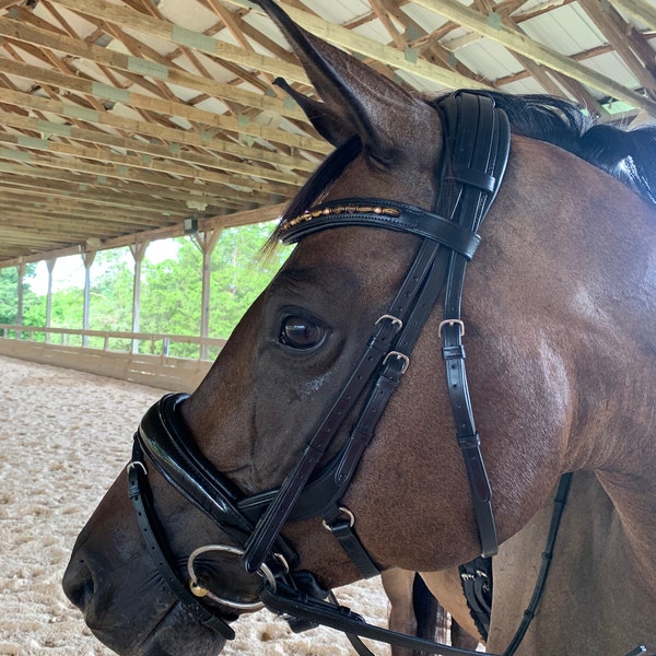 LARGE 2" Bridle Loop (double Bridle) Black Padded Leather Empty Channel ...