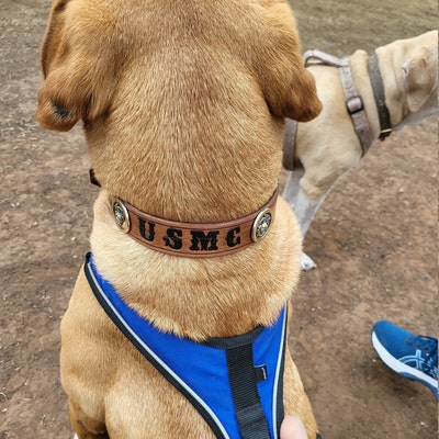 US Marines Dog Collar, USMC Dog Collar, Marine Corp Dog Collar, Leather ...