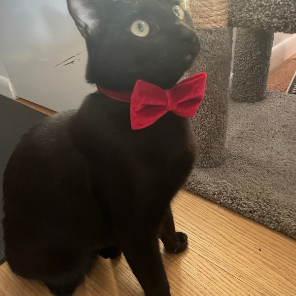 Holiday Bow Tie Cat Collar Set - 