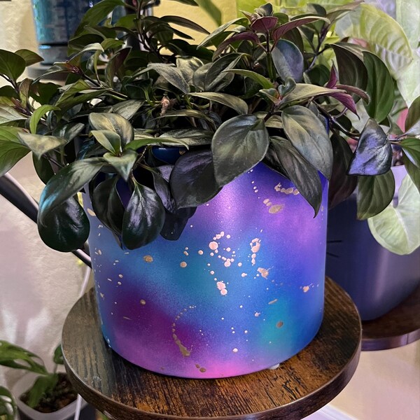 Acrylic Colorful Propagation Planters - Continued - Etsy