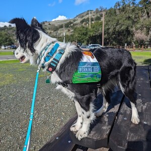 1 Patch, IGNORE ME, 8 Inches X 3 Inches, Sew On, Customizable, Custom ...