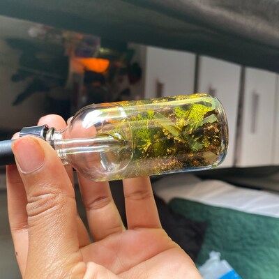 Money Oil, Prosperity Oil, Money Drawing Oil, Success Oil, Money ...