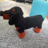 Crochet Pattern for Toki, Realistic Crochet Miniature Dachshund Dog ...