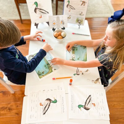 Duck Unit Study Guide - Etsy