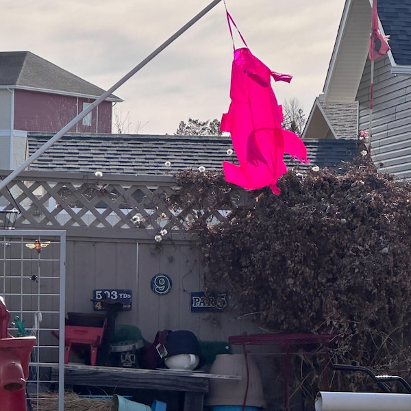 Duck Windsock - Etsy