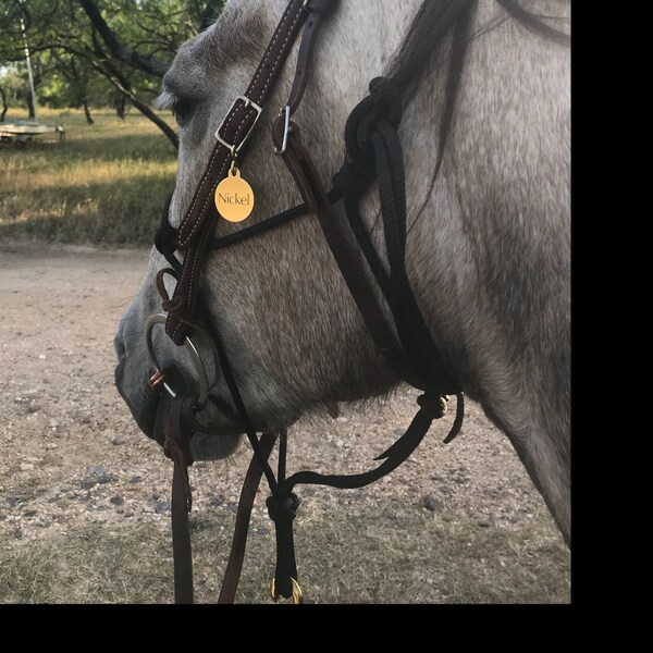 Halter or Bridle or Saddle ID Tag Large Pet ID Tag Brass Engraved ...