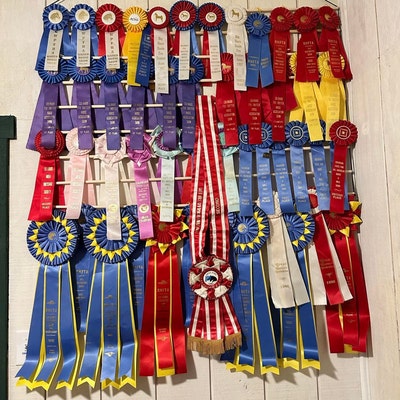 4-H FFA Ribbon Holder Display Award Rack Dog Show Ribbon - Etsy