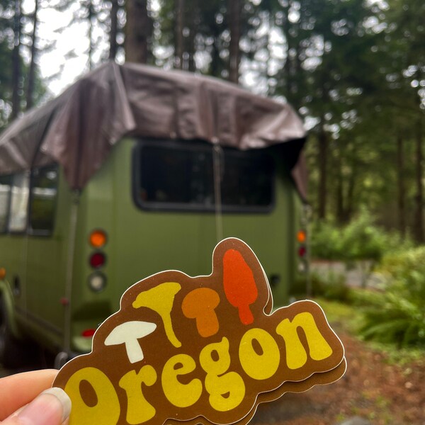 You Got This Vinyl Decal - Weatherproof Bumper Sticker - 70s Retro ...