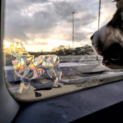 Cairn Terrier Suncatcher Dog Window Stickers Sun Catcher for - Etsy