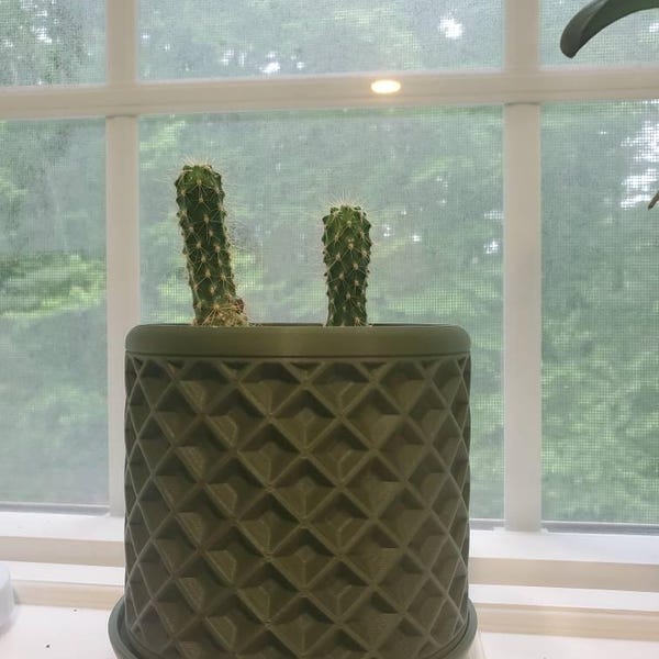 The Estrella Planter in Matte Black - Drainage Hole and Tray - Modern ...