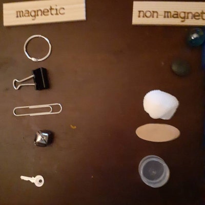 Magnetic/non-magnetic Sorting Set, Montessori Object Classification ...