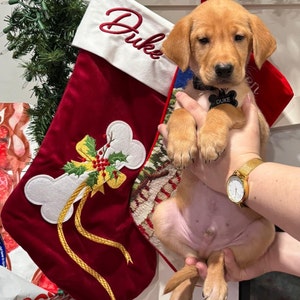 Alcohol Themed Embroidered Cocktail Napkins, Boozy Cocktail Napkins Set ...