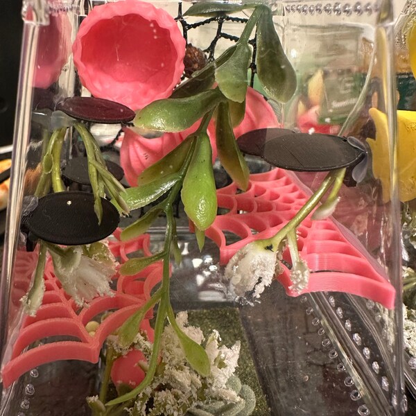 Vampire Squid Themed Jumping Spider Home - Etsy