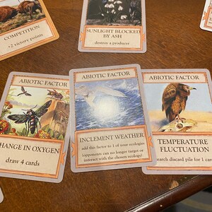 Ecologies Card Game Gameplay Inspired by Nature Use | Etsy