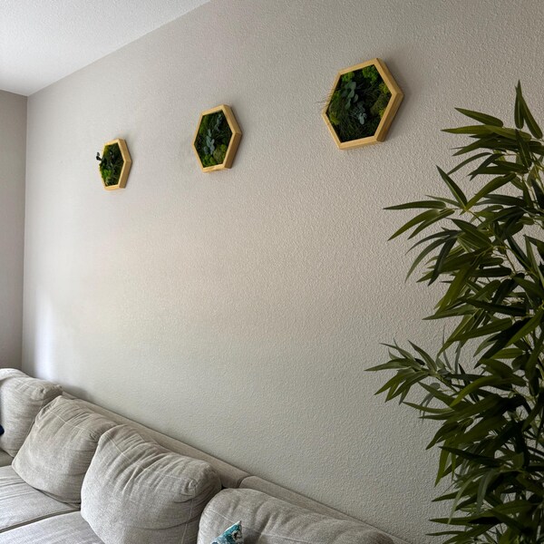 Hexagon Moss Wall Art Moss Wall Decor Preserved Moss Art Framed Moss ...