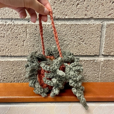 Car Fern Crochet PATTERN by Pamelambie Car Plant - Etsy