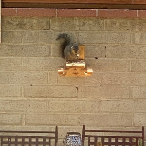 Screened Bird Feeder with Torched Wood Boarder and Chain with | Etsy