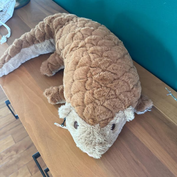 Pangolin Plush - 4lbs Weighted - Etsy