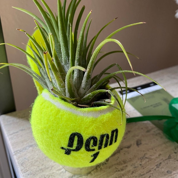 Softball Planter / Softball Decor / Softball Gift / Baseball Decor ...