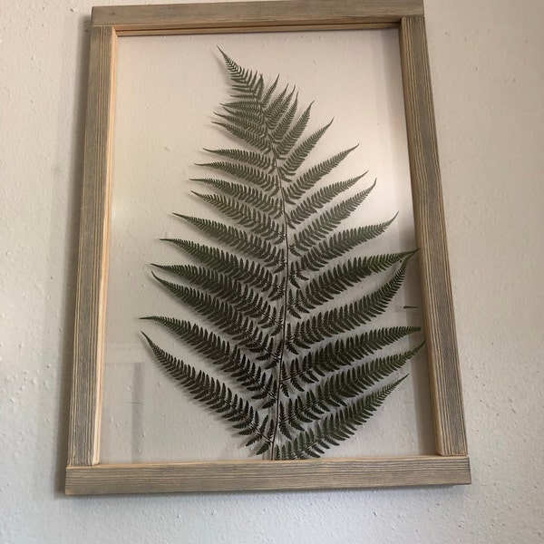 Huge Fern Wall Decor 13x18" - Pressed Leaves - Foliage - Pressed Fern ...
