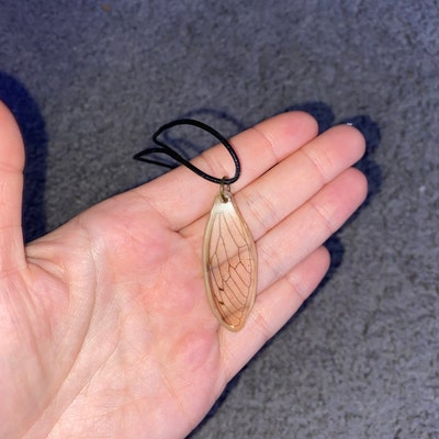 Cicada Wing Earrings Resin Embedded Insect Wing Jewelry - Etsy