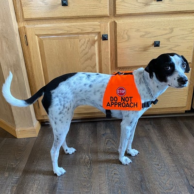 Vest select Your Size, STOP Do Not Approach, Light Weight Sd Style Vest ...