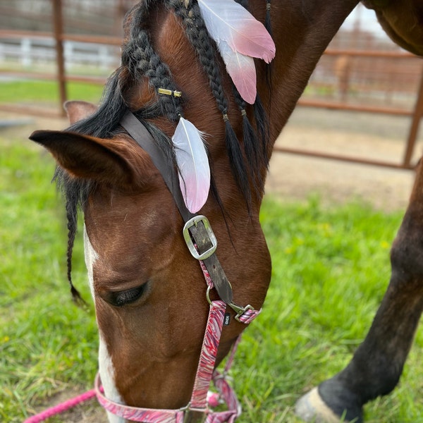 Equestrian Knowledge Diagrams & Worksheets - Horse Diagrams, Equine ...