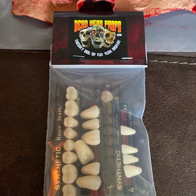 Halloween Horror Prop Life Size Realistic Resin Full Mouth Set of Teeth ...