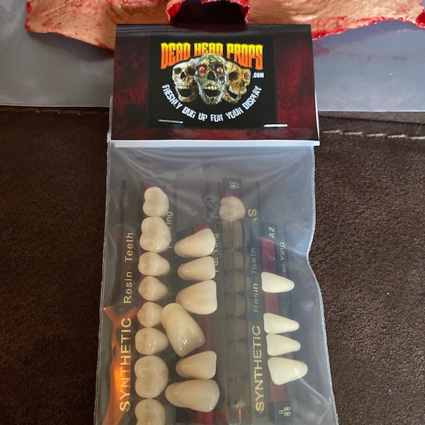 Halloween Horror Prop - Life Size Realistic Resin Full Mouth Set of ...